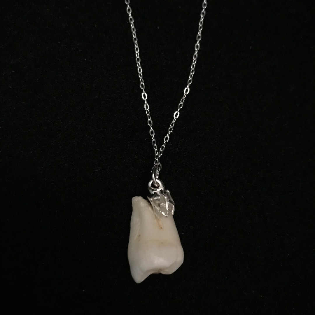 Real Human Tooth Necklace,sterling Silver 20 Chain//dainty Tooth ...