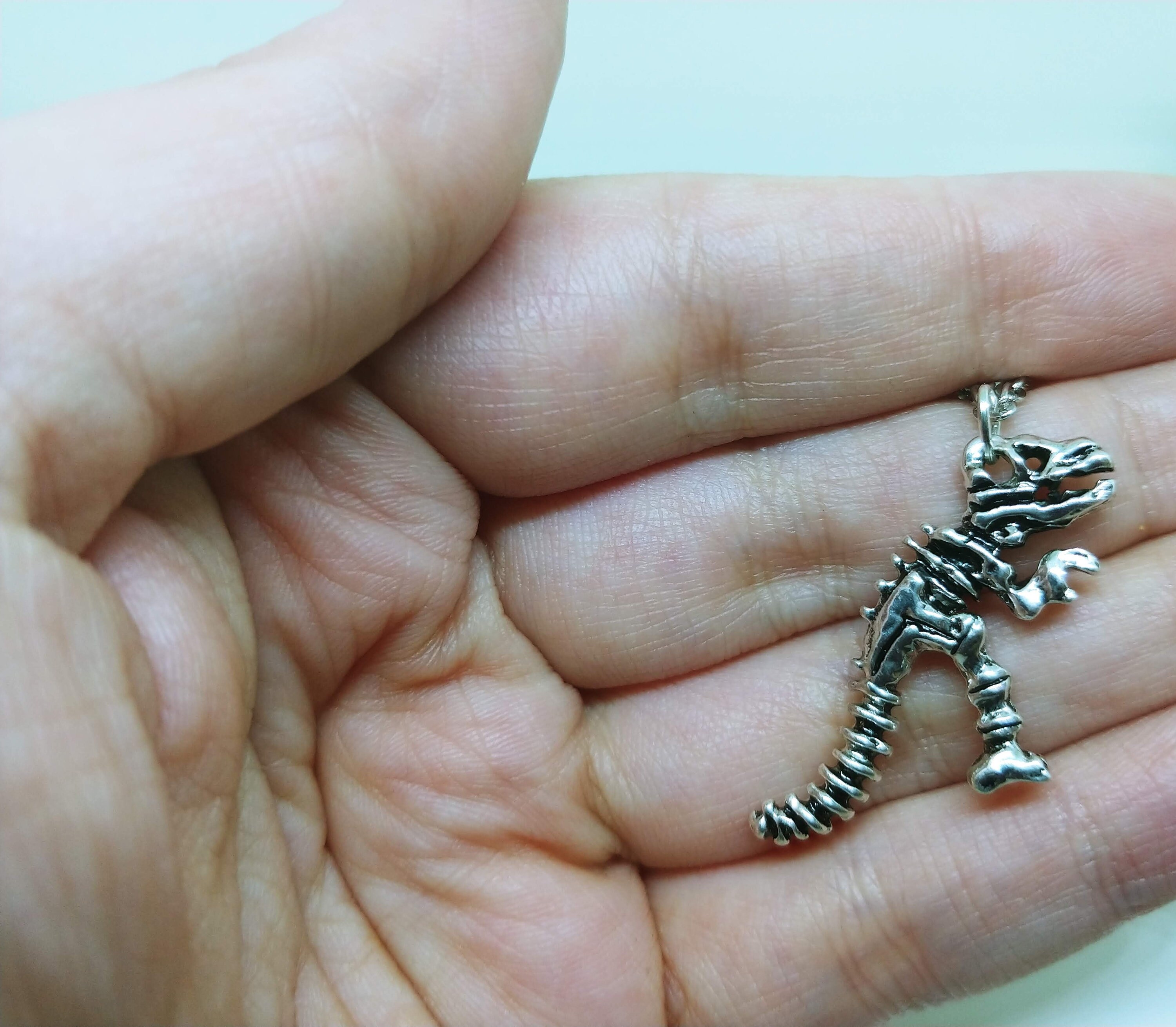 Skeleton Dinosaur T-rex Tyranosaurus Rex Nekclace Paleontology ...