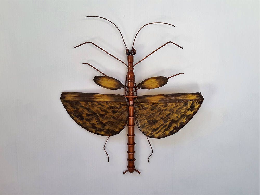 Garden Art Sculpture Stick Bug Insect Art Wall Hanging - Etsy
