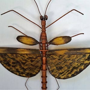 Garden Art Sculpture, Stick Bug, Insect Art, Wall Hanging, Phasma Gigas ...