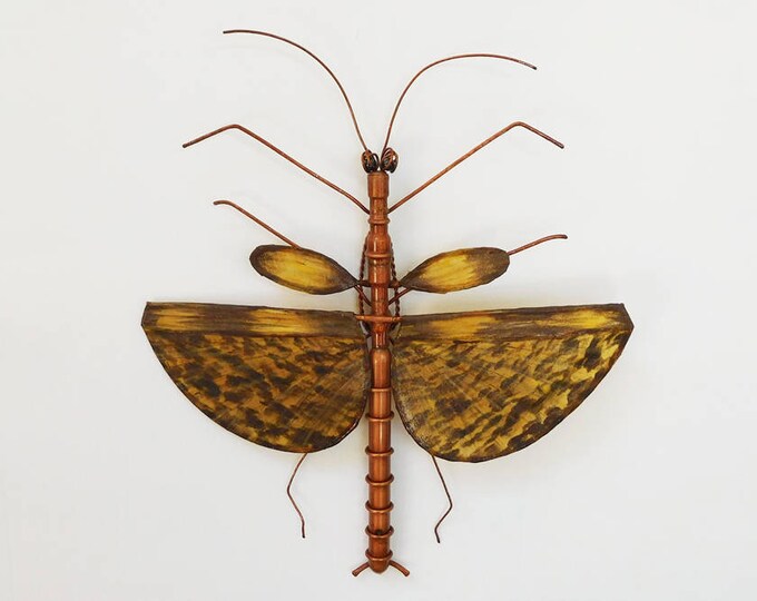Garden Art Sculpture, Stick Bug, Insect Art, Wall Hanging, Phasma Gigas ...