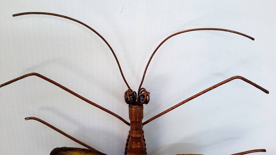 Garden Art Sculpture Stick Bug Insect Art Wall Hanging - Etsy