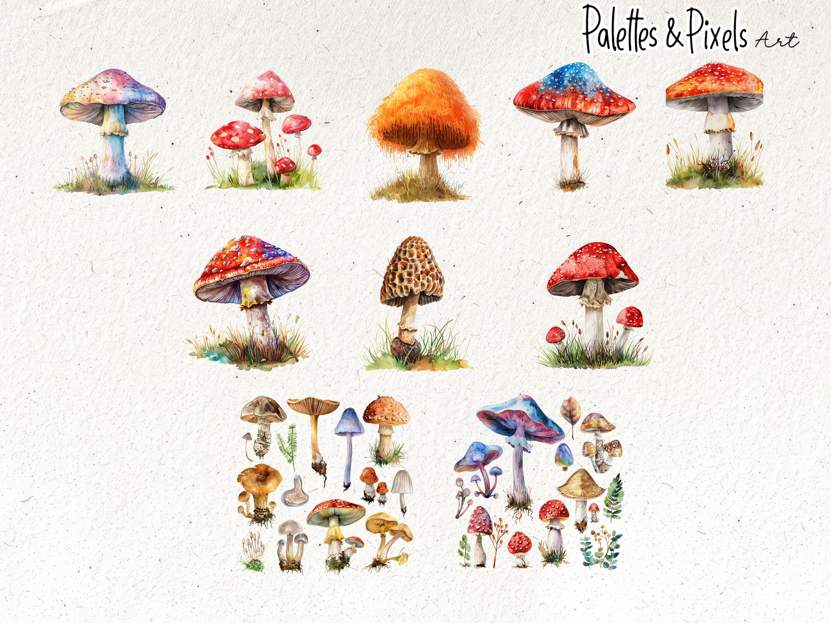 Mushroom Clipart Bundle, Digital Download Commerical Use Art, PNG Clip ...