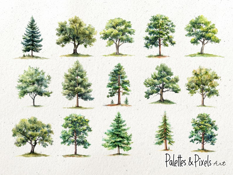 Forest Tree Watercolor Clipart Bundle, Digital Download Commerical Use ...