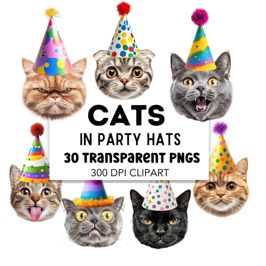 Cats in Party Hats, Funny Realistic Cats in Silly Party Hat Digital ...