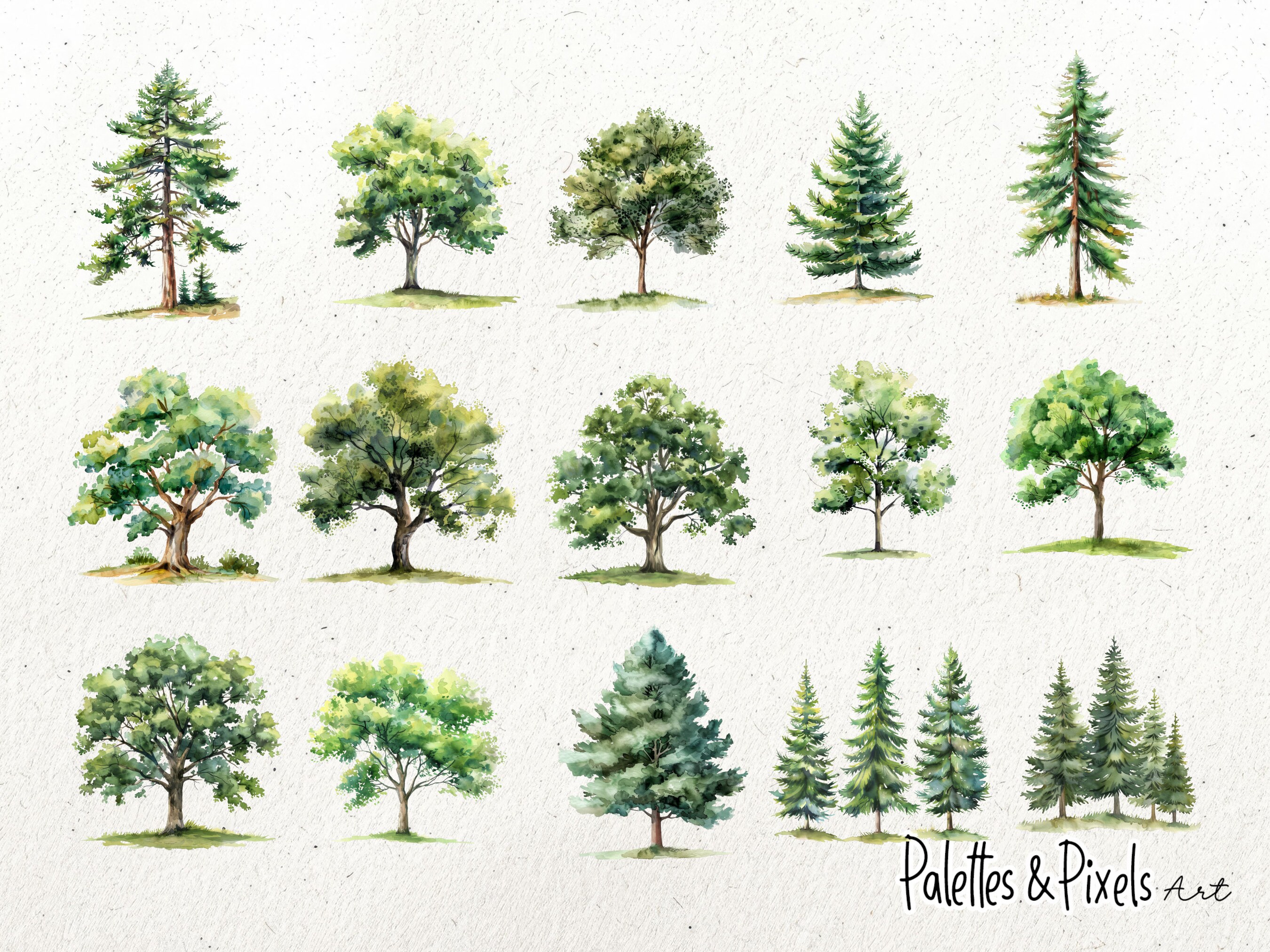 Forest Tree Watercolor Clipart Bundle, Digital Download Commerical Use ...