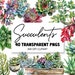 Succulent Plants Digital Clipart Bundle, Commerical Use Digital ...