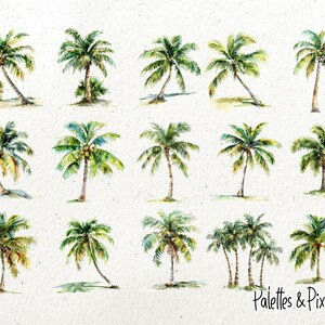 Palm Trees Watercolor Clipart Bundle, Digital Download Commerical Use ...