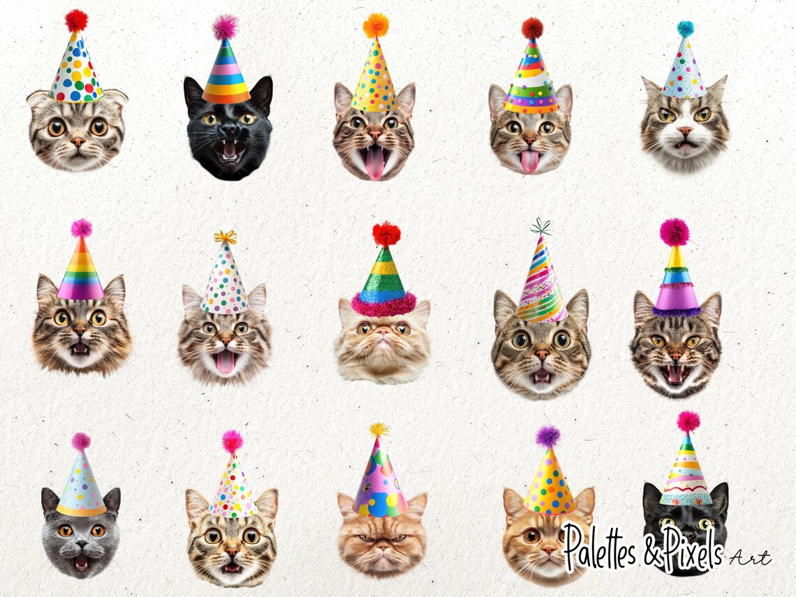 Cats in Party Hats, Funny Realistic Cats in Silly Party Hat Digital ...