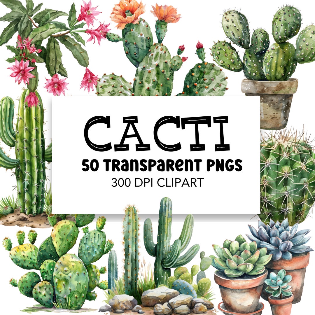 Cacti Cactus Watercolor Clipart Pack, Commercial Pngs - Etsy