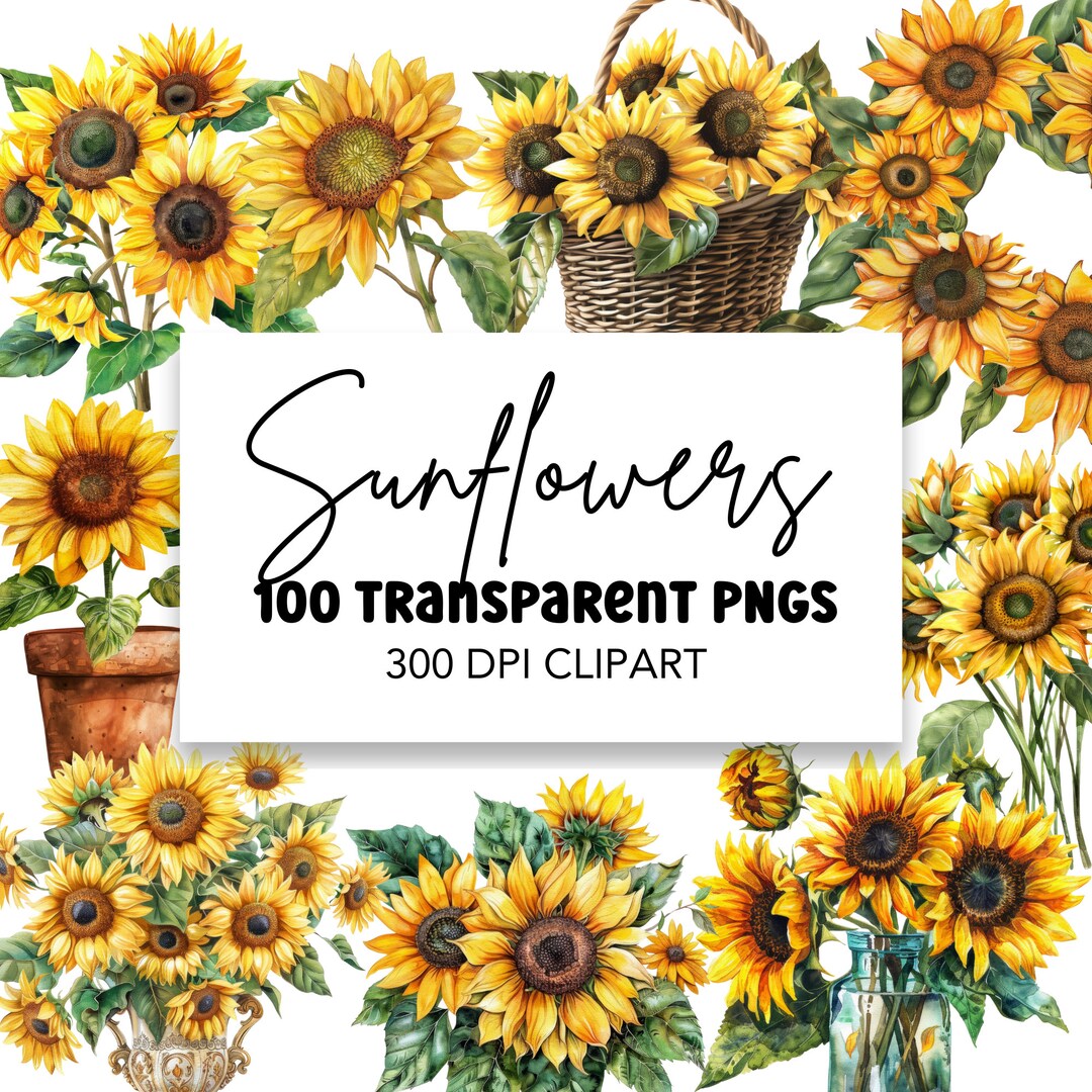 Sunflower Clipart Bundle, Digital Download Commerical Use Art, PNG Clip ...