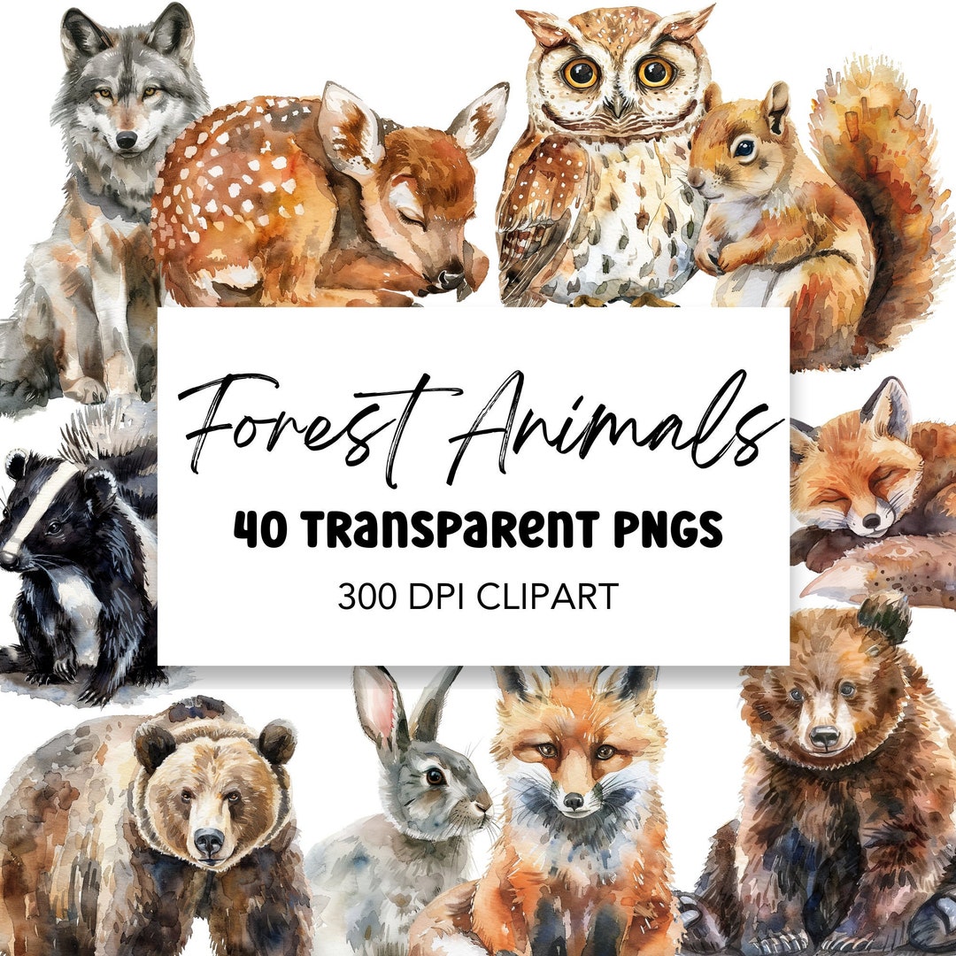 Watercolor Forest Animal Clipart Bundle, Digital Download Commerical ...