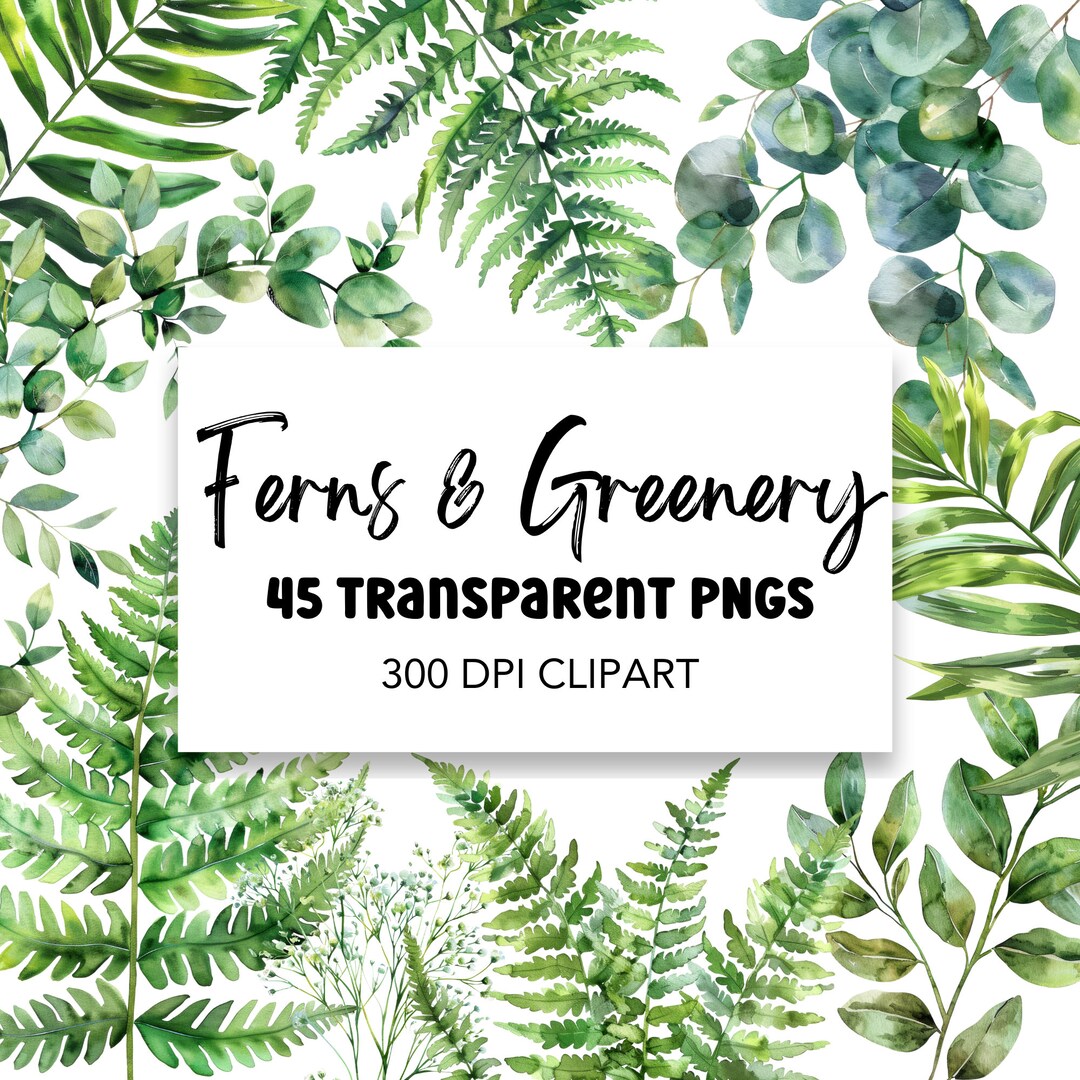 Fern and Greenery Watercolor Clipart Bundle, Digital Download ...