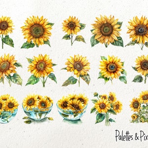 Sunflower Clipart Bundle, Digital Download Commerical Use Art, PNG Clip ...