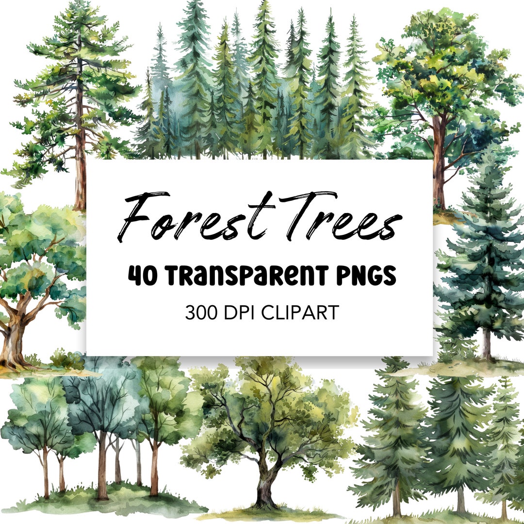 Forest Tree Watercolor Clipart Bundle, Digital Download Commerical Use ...