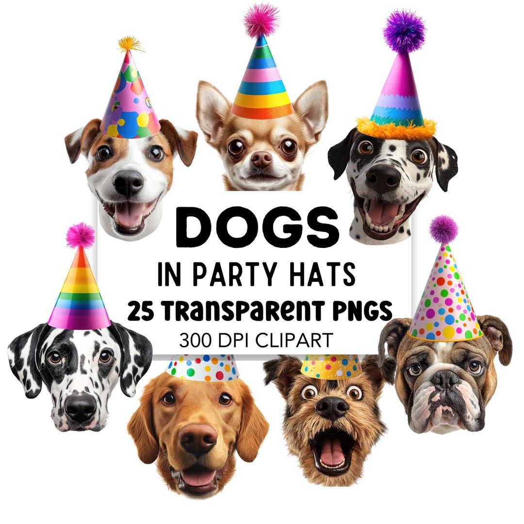 Dogs in Party Hats, Funny Realistic Dogs in Silly Party Hat Digital ...