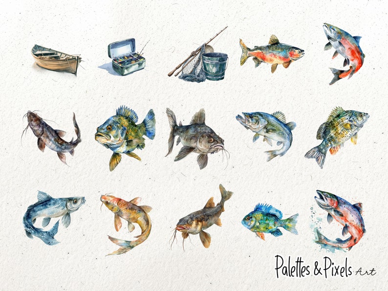 Freshwater Fish Clipart Bundle, Fishing Clipart Commerical Use PNG - Etsy