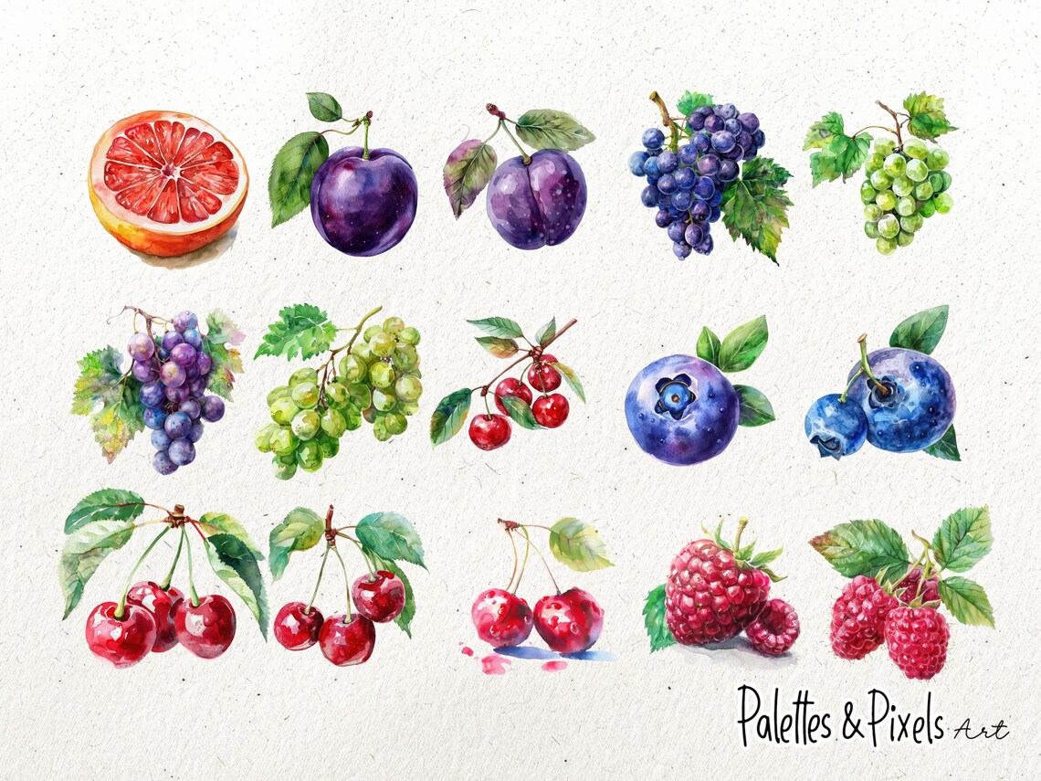 Fruit Clipart Pack, 100 Watercolor Fruit Themed Commerical PNG Art - Etsy