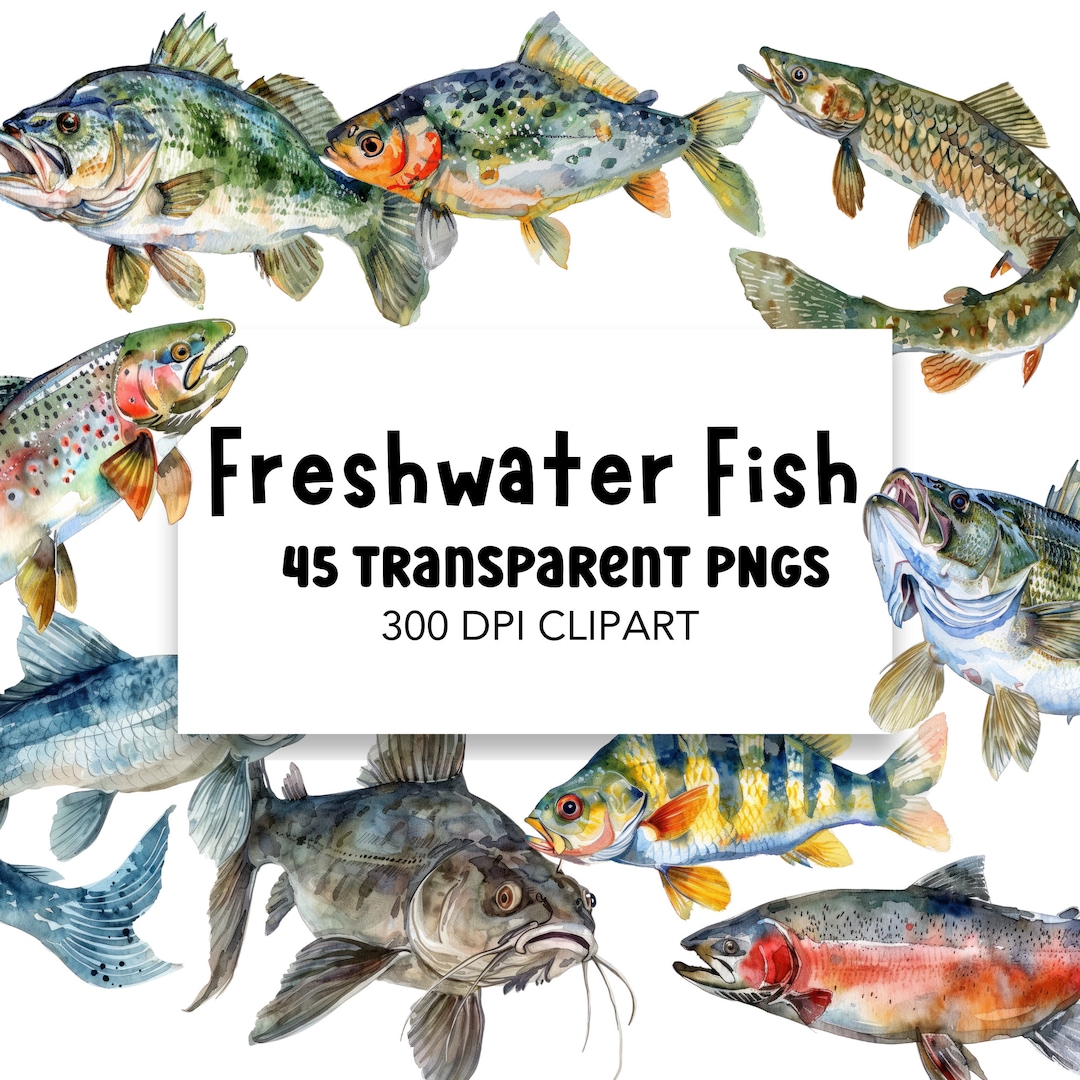 Freshwater Fish Clipart Bundle, Fishing Clipart Commerical Use PNG - Etsy