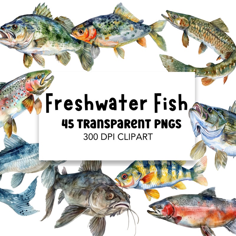 Freshwater Fish - Etsy