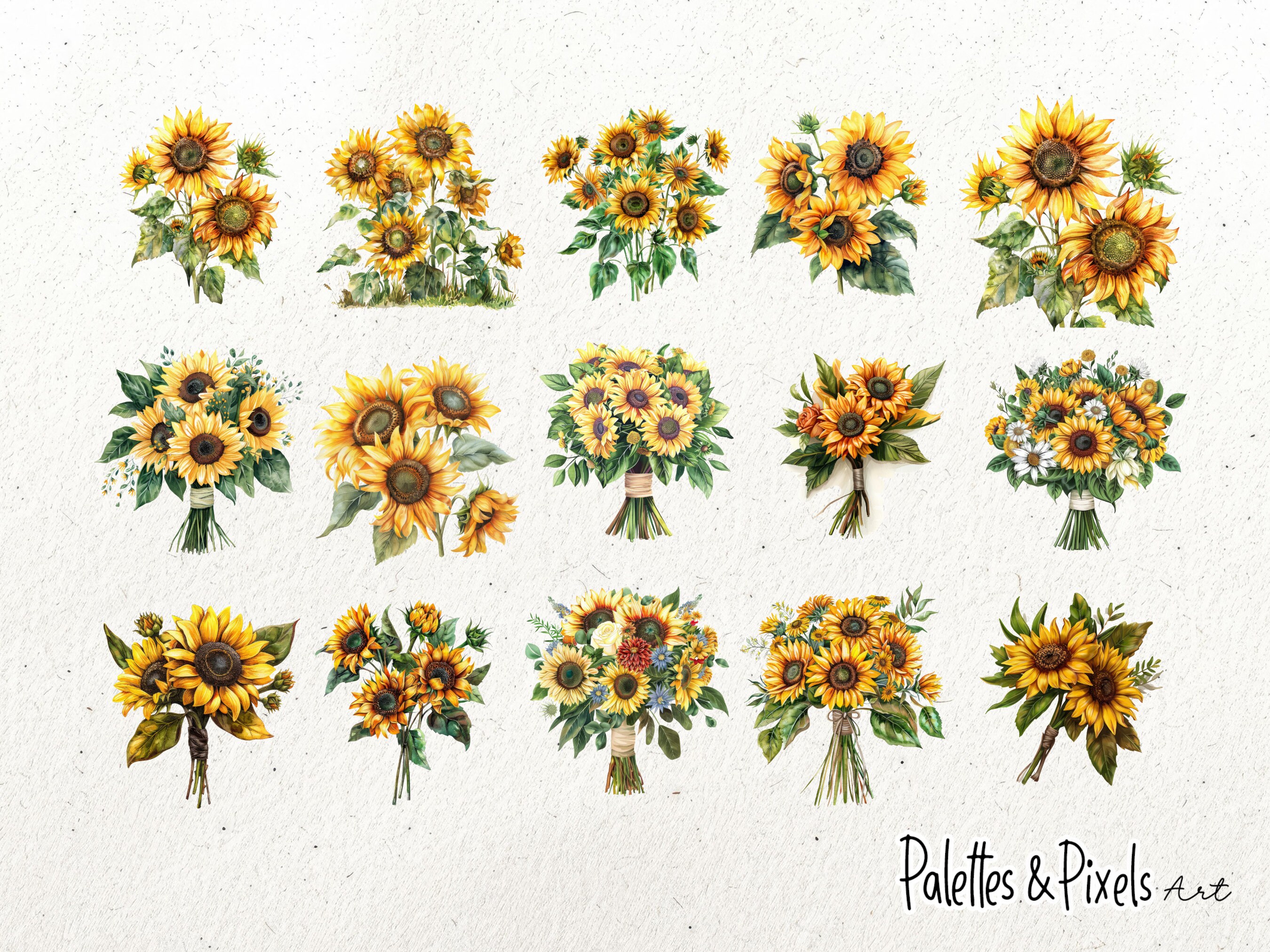 Sunflower Clipart Bundle, Digital Download Commerical Use Art, PNG Clip ...