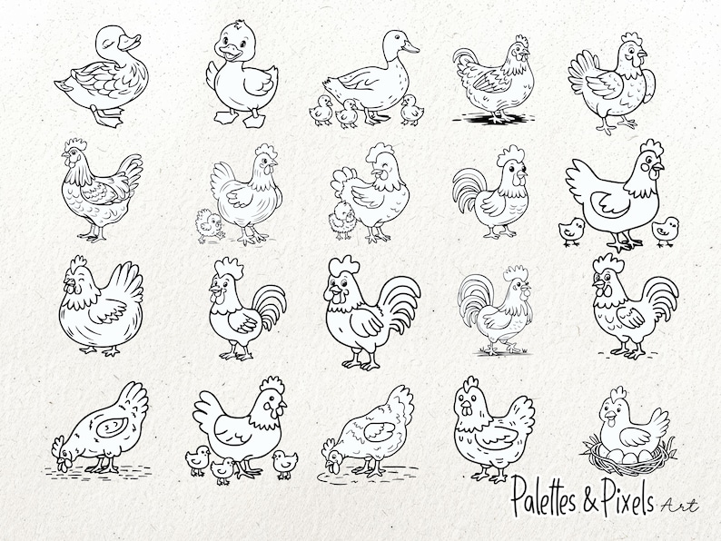 Farm Animal Clipart Pack, 150 Black and White Coloring Book Images - Etsy