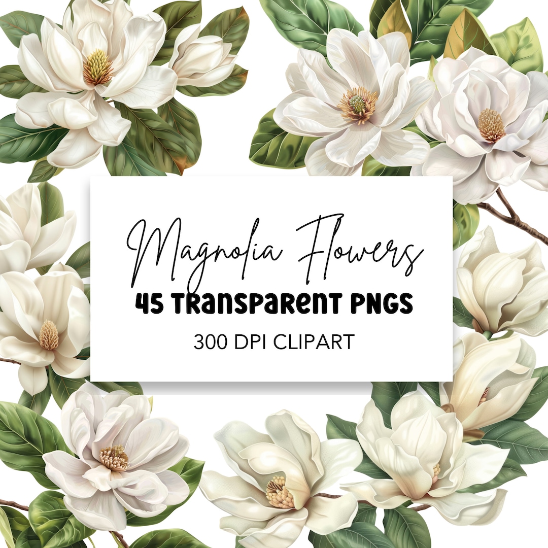 Magnolia Flower Clipart Bundle, Digital Download Commerical Use Art ...