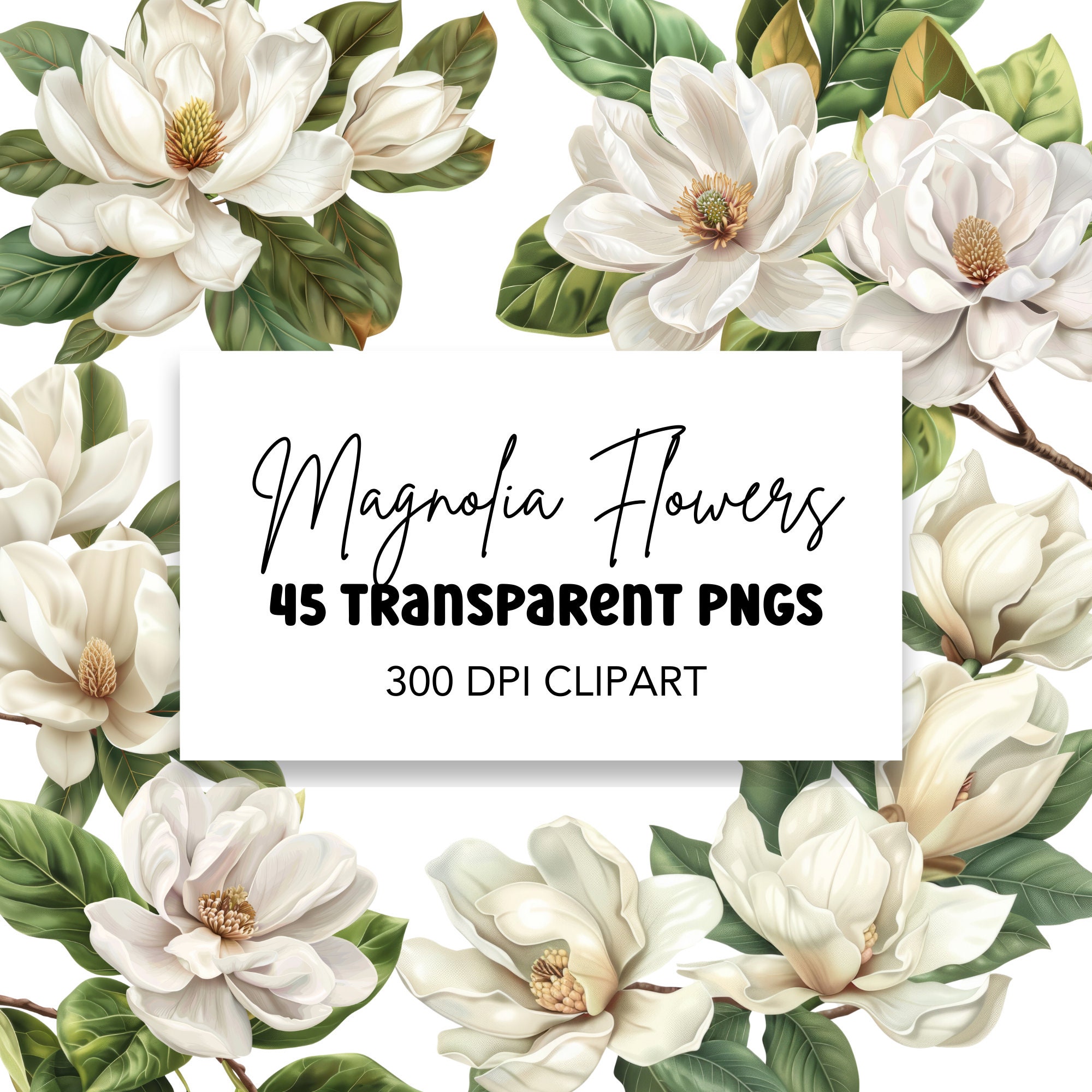 Magnolia Flower Clipart Bundle, Digital Download Commerical Use Art ...