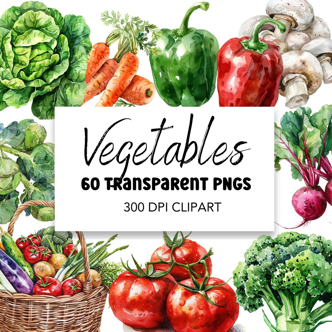 Vegetable Clipart Bundle, Digital Download Commerical Use Art, PNG Clip ...