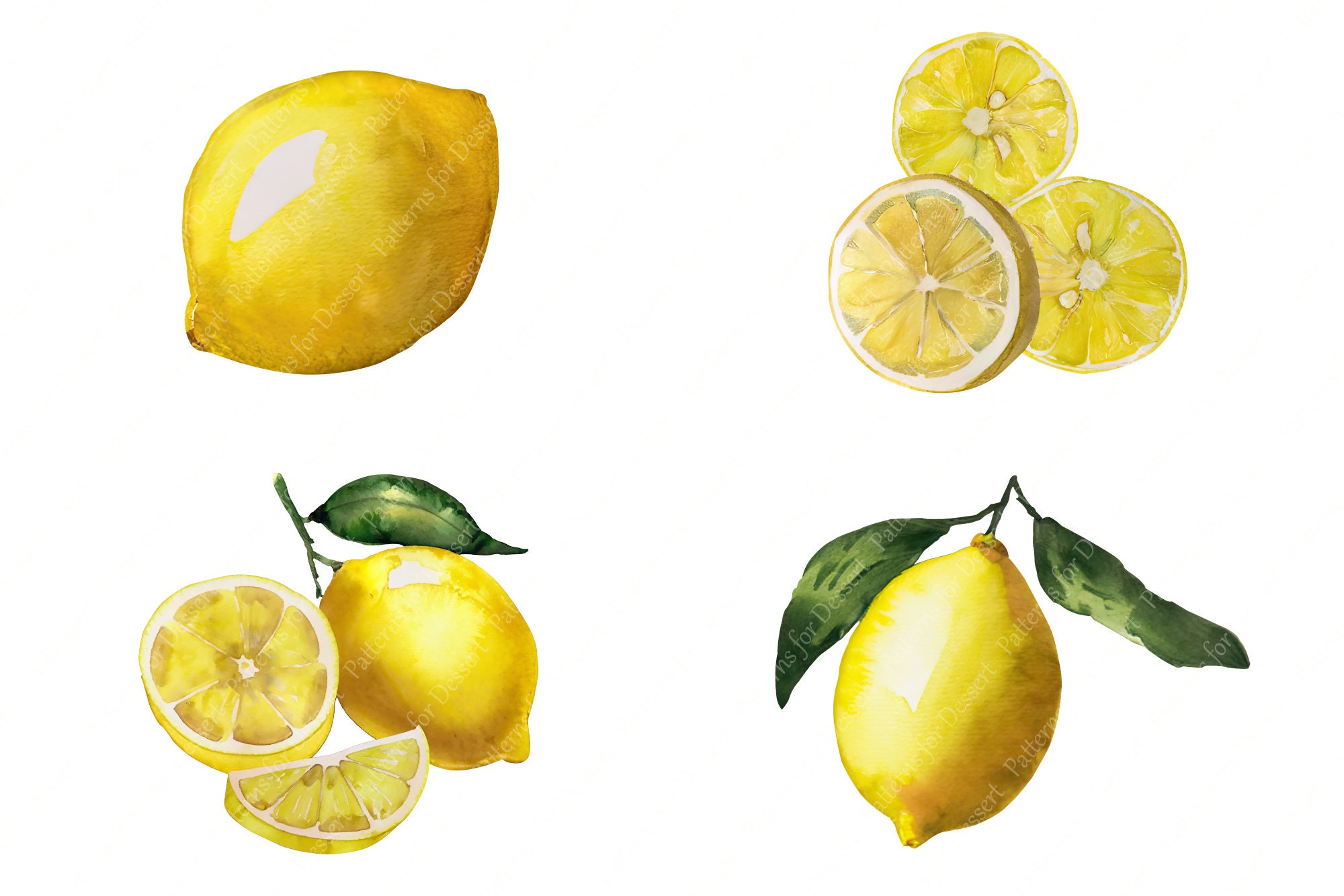 Watercolor Citrus Fruit Clip Art | Scrapbook Elements | Grapefruit ...