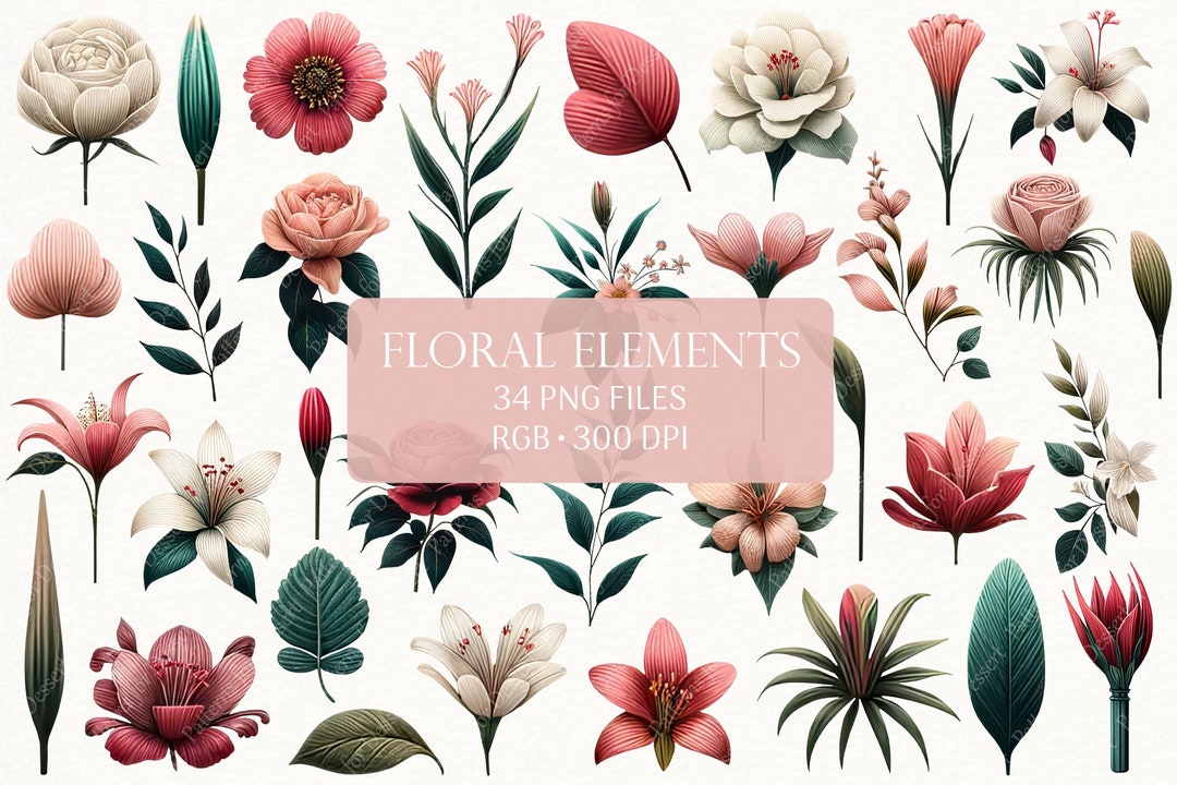 Floral Clip Art: Pink & Red Flower PNG Images (digital Download) - Etsy