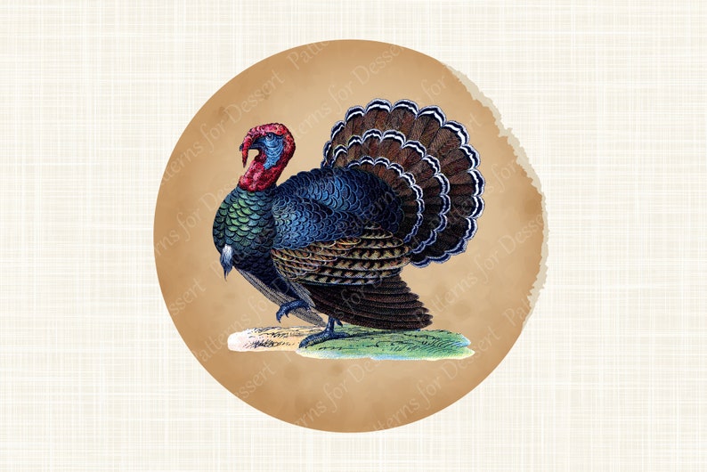 Vintage Thanksgiving Turkey Clip Art: Antique Clip Art, Scrapbook ...