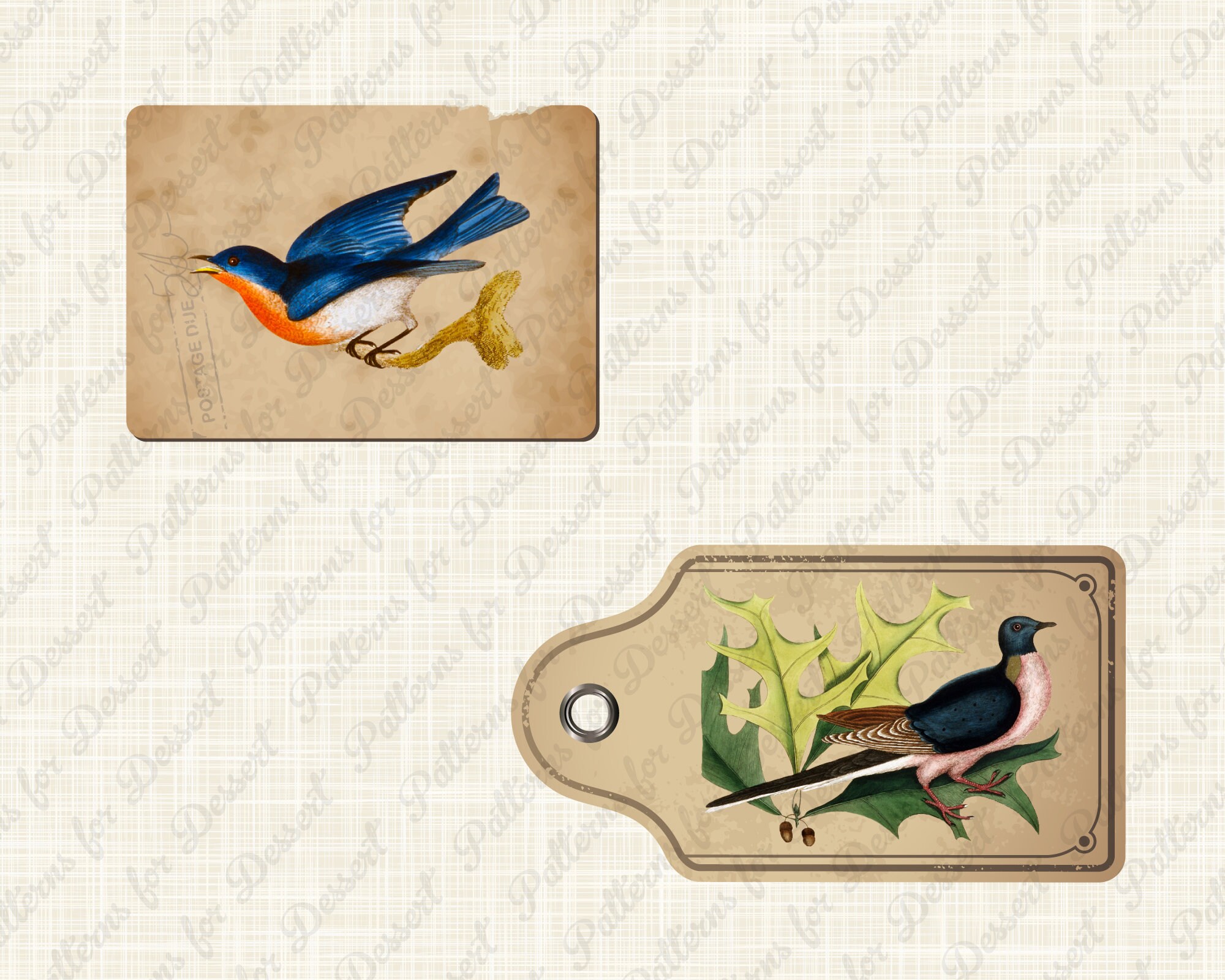 Antique Bird Clip Art: Vintage Clip Art, Scrapbook Elements, Vintage ...