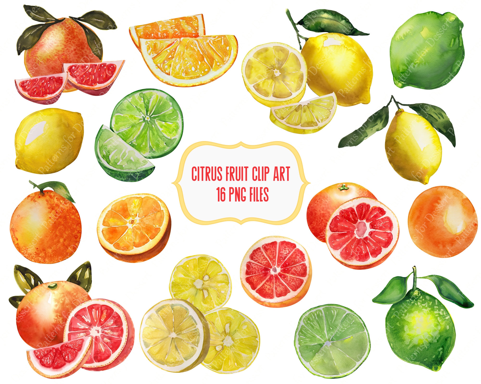 Watercolor Citrus Fruit Clip Art Scrapbook Elements - Etsy