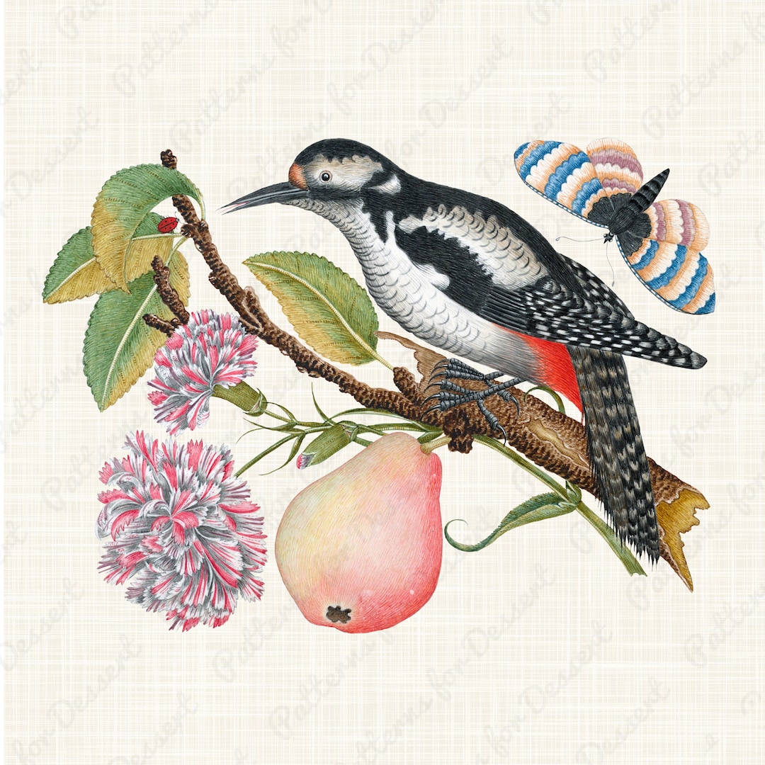 Vintage Bird Clip Art: Antique Clip Art, Black Bird, Scrapbook Elements ...