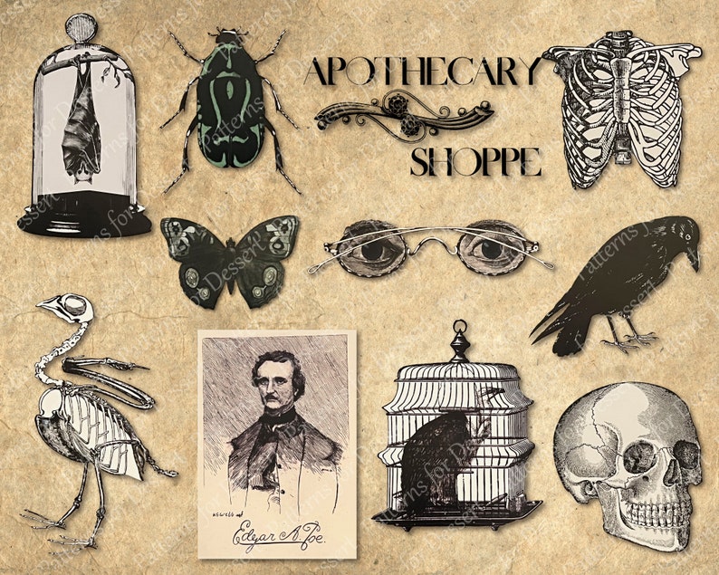 Vintage Halloween Clip Art Illustrations: Antique Images - Etsy