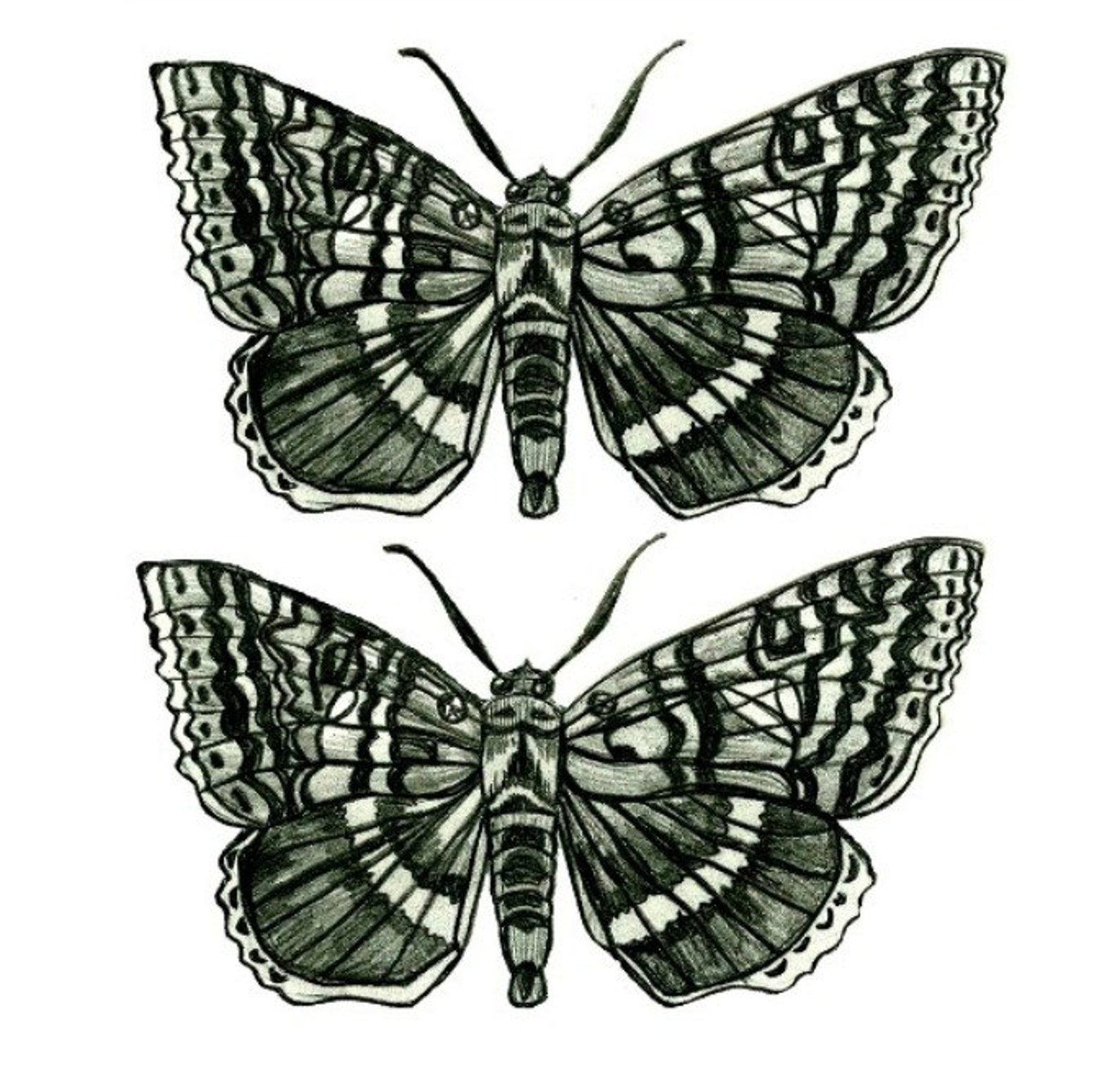 MATILDA & MILO the MOTHS Temporary Tattoos Pack Hand Illustrated ...