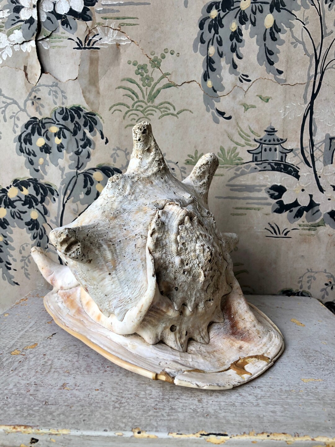 Large Horned Helmet Shell - Etsy