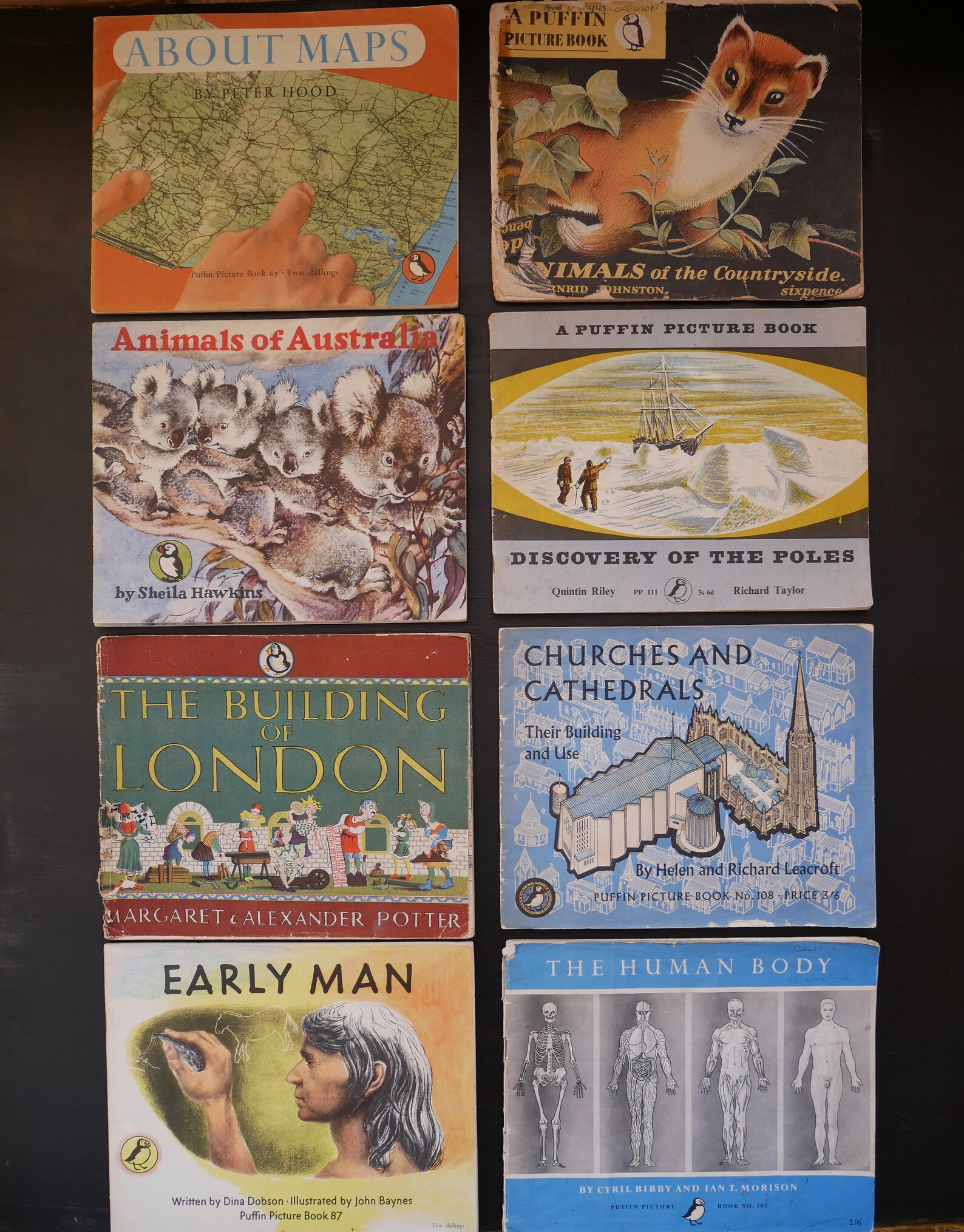 Puffin Picture Books - Various Titles Available - Etsy