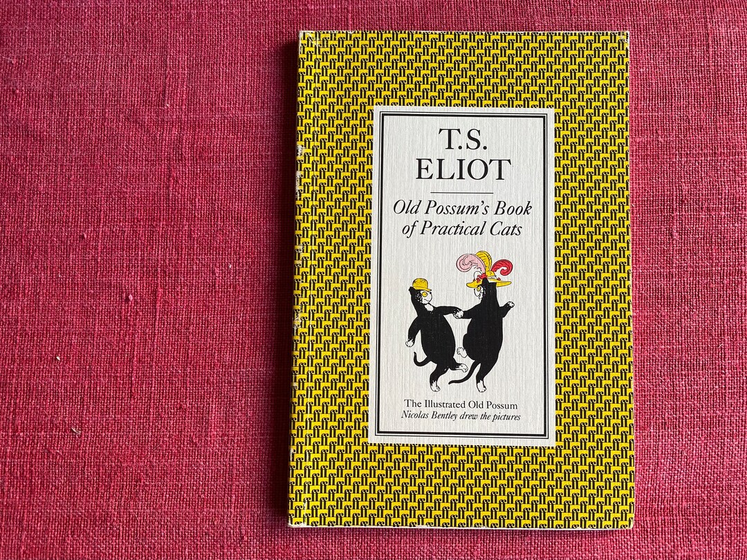 The Illustrated Old Possum Old Possum's Book of - Etsy