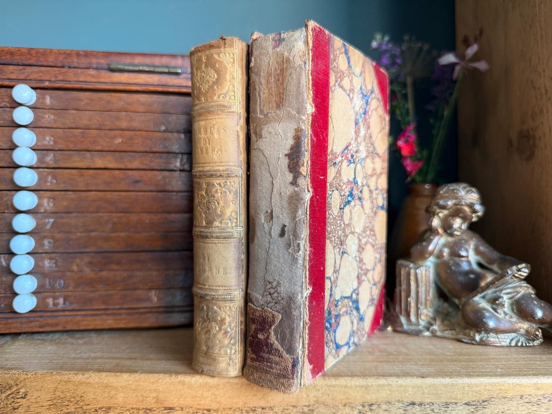 Antique River Guides – James Thorne, 1844 & 1847 - Etsy