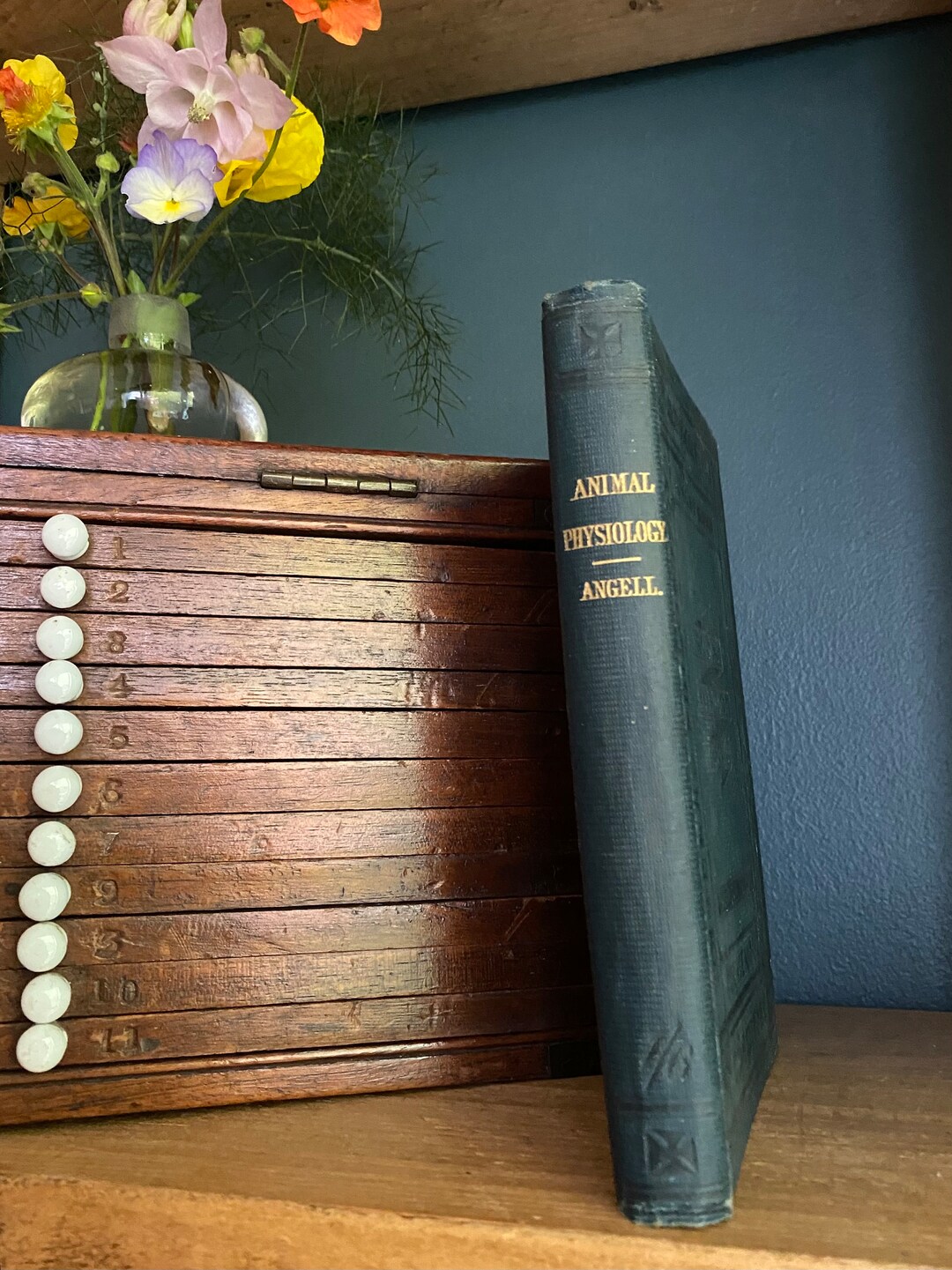 Elements of Animal Physiology by John Angel - C.1870s - Etsy