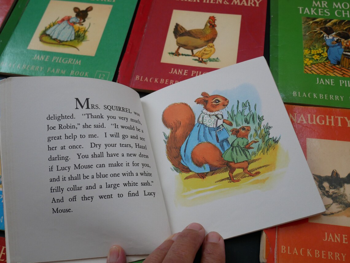 Blackberry Farm Books by Jane Pilgrim Published by the - Etsy