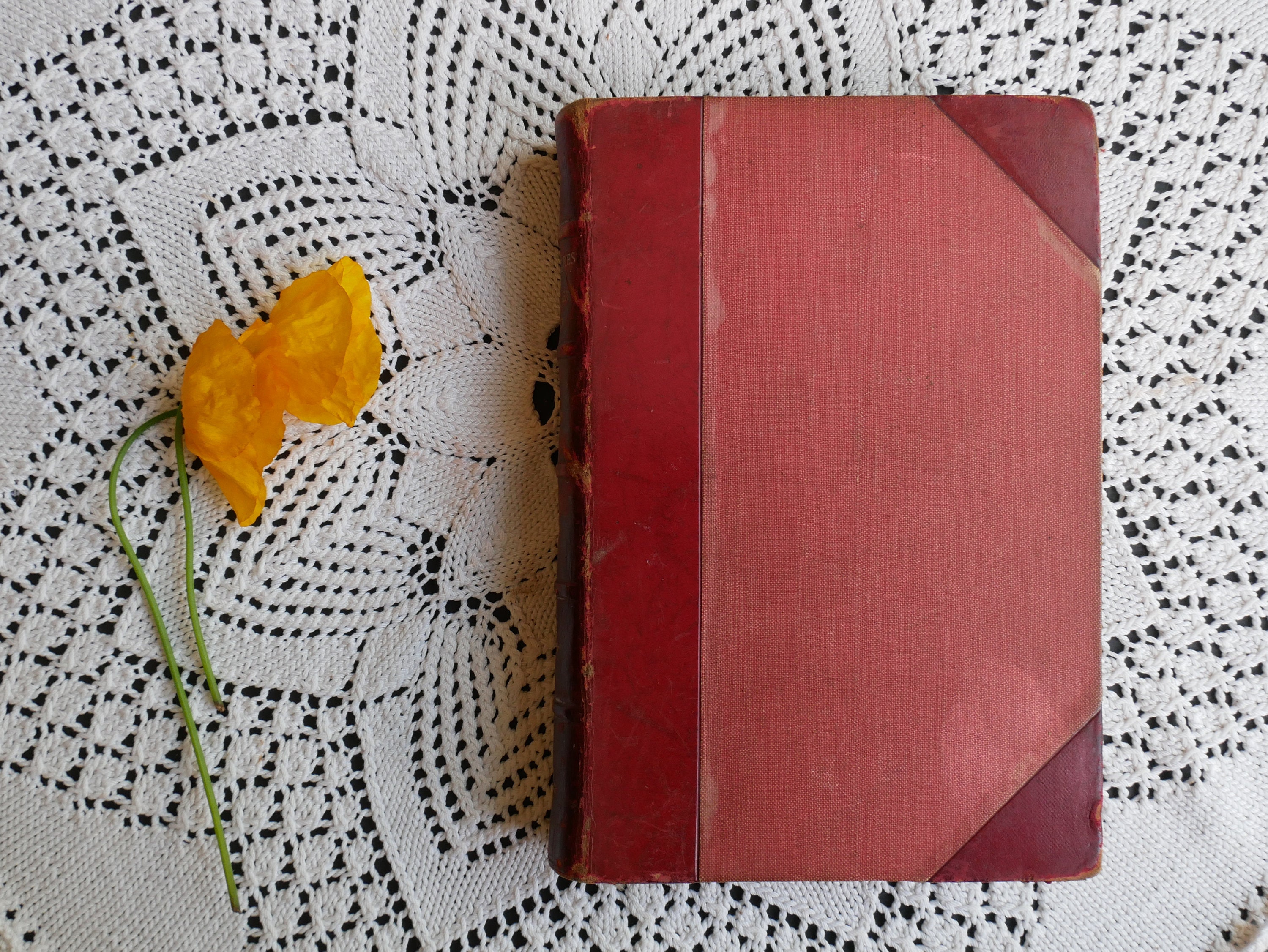 Adventures of Hajji Baba by James Morier - Macmillan & Co 1902 - Etsy