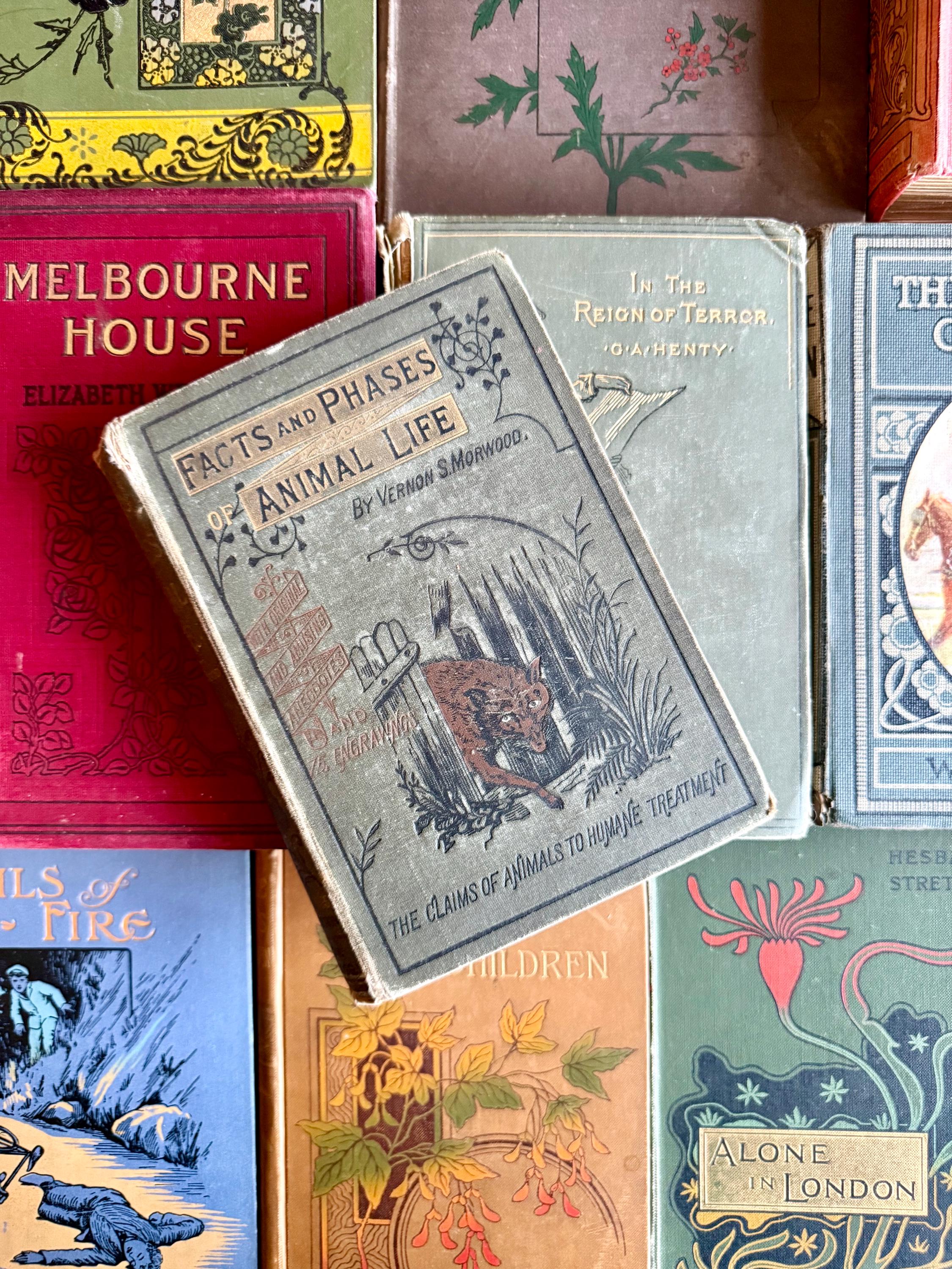 Victorian Edwardian Decorative Books - Selection Available - Etsy