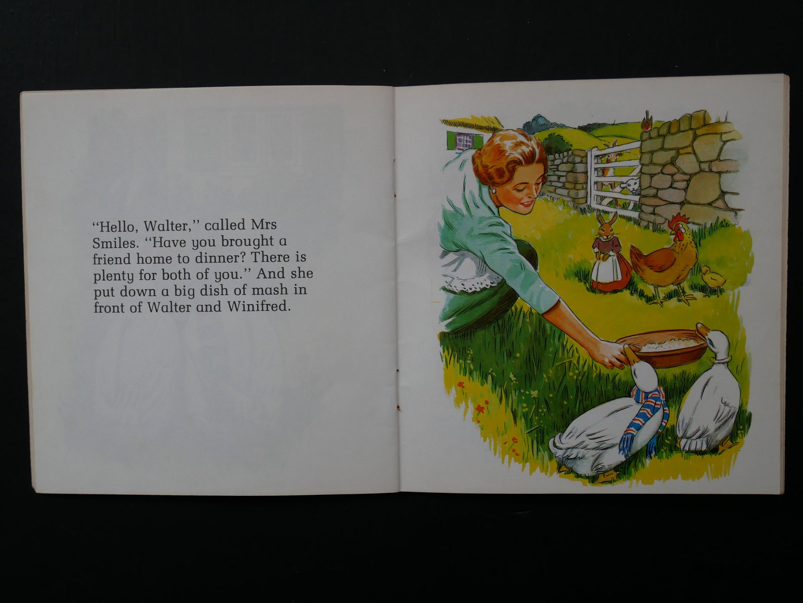 Blackberry Farm Books by Jane Pilgrim Published by the - Etsy