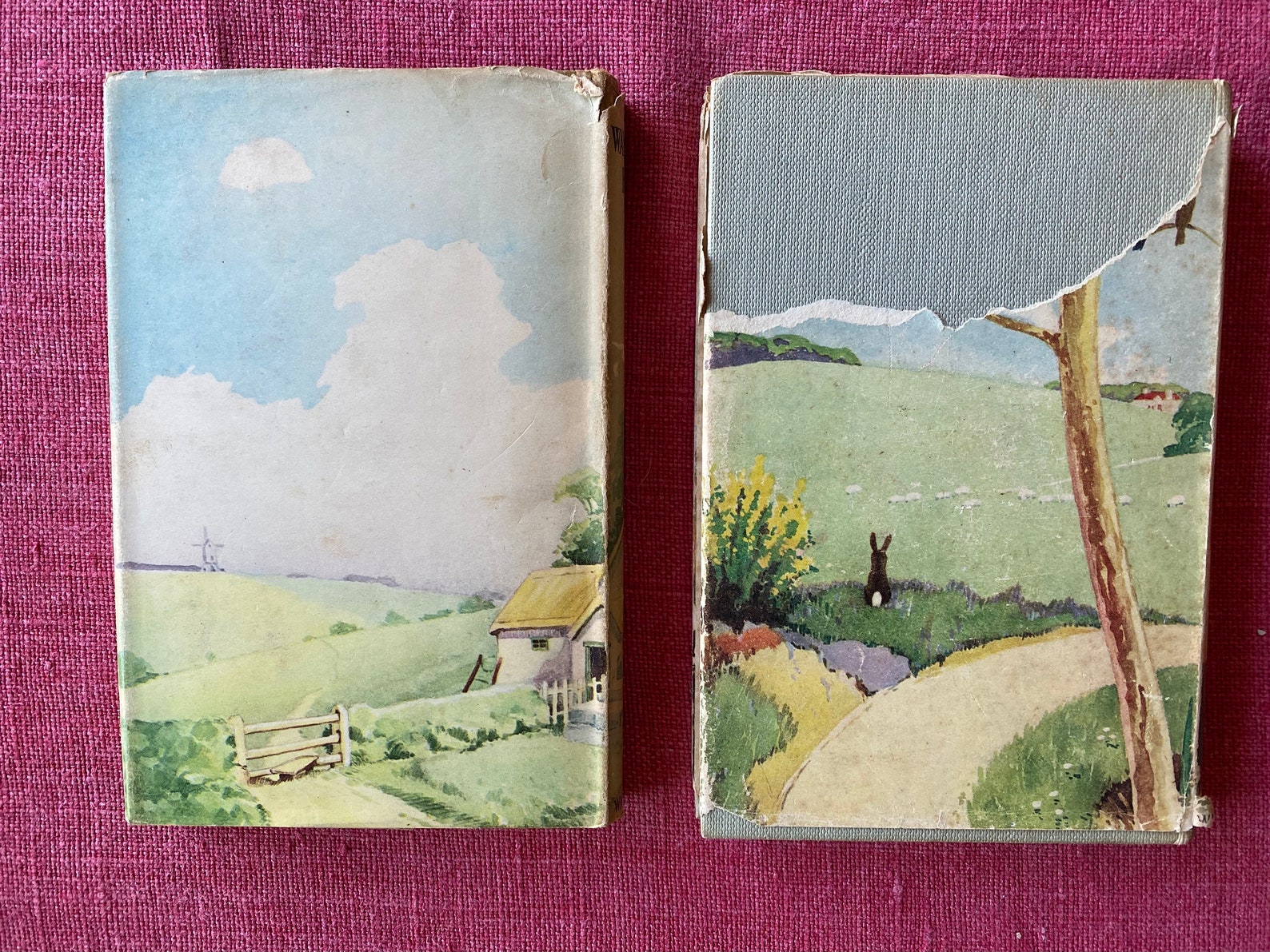 Countryside Book Bundle - Etsy
