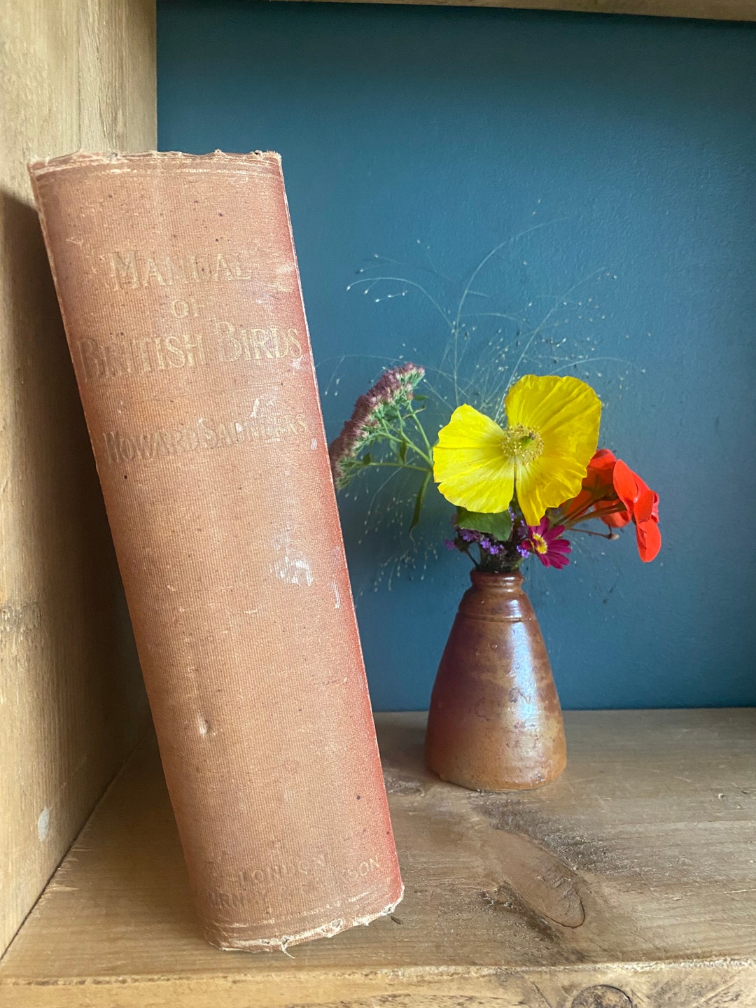 An Illustrated Manual of British Birds 1899 - Etsy