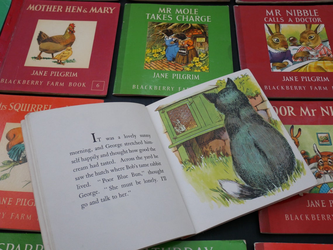 Blackberry Farm Books by Jane Pilgrim Published by the - Etsy