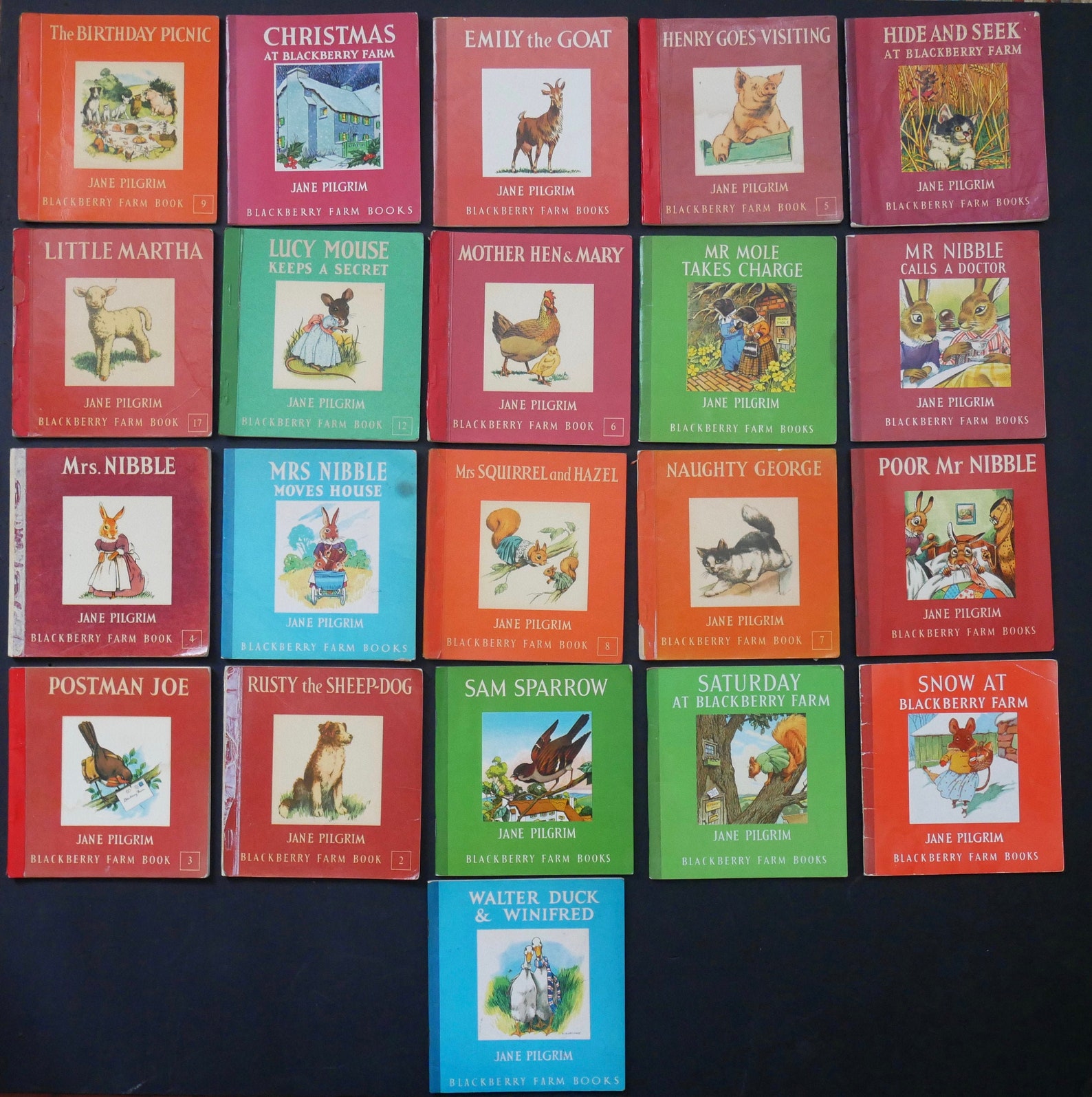 Blackberry Farm Books by Jane Pilgrim Published by the - Etsy